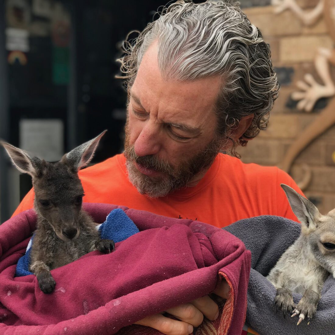 Home - Epic Acoustic Covers - Mike Massé